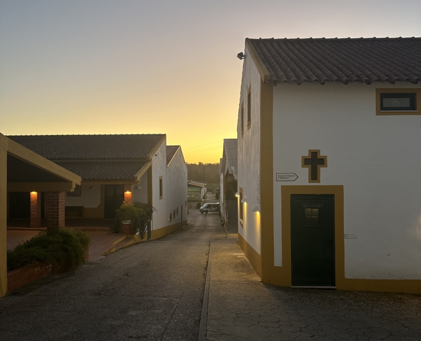 The Farm – Quinta do Falcao